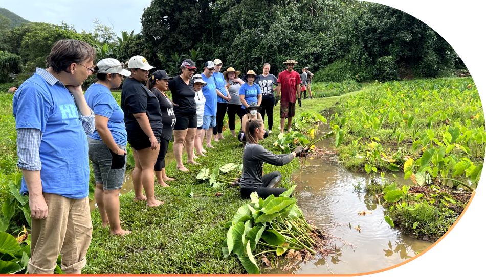 Culture & Community – Hawaii Residency Programs